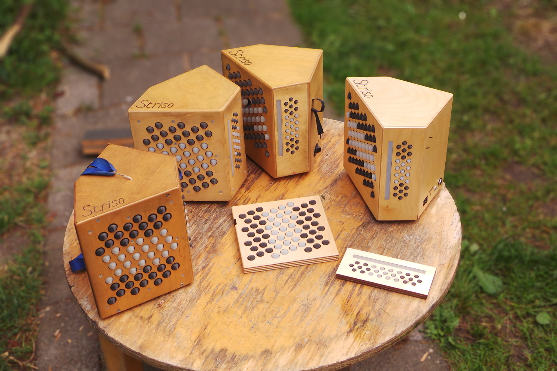 New member of the Striso family | Striso